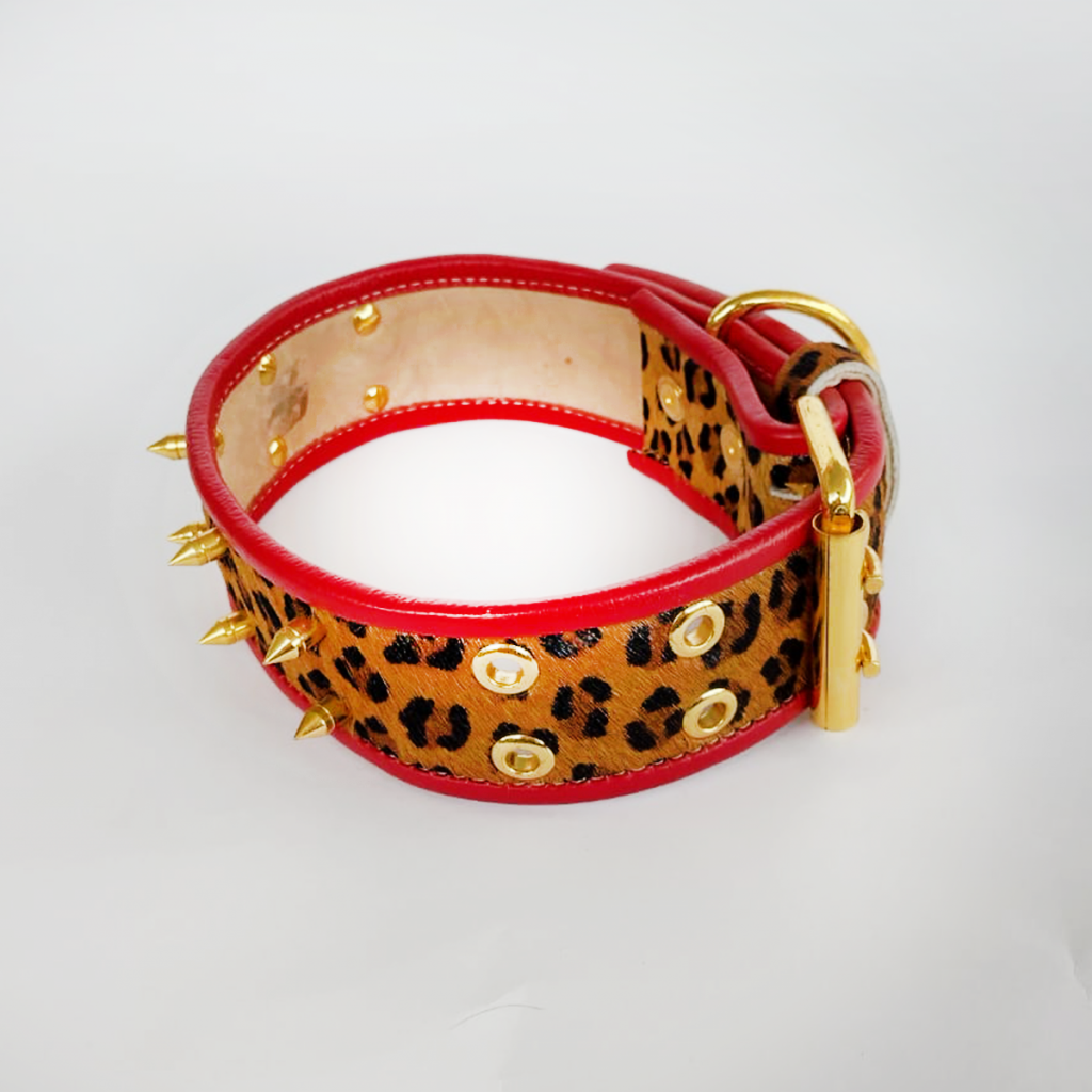 COLLAR JAGUAR – ExoticPet